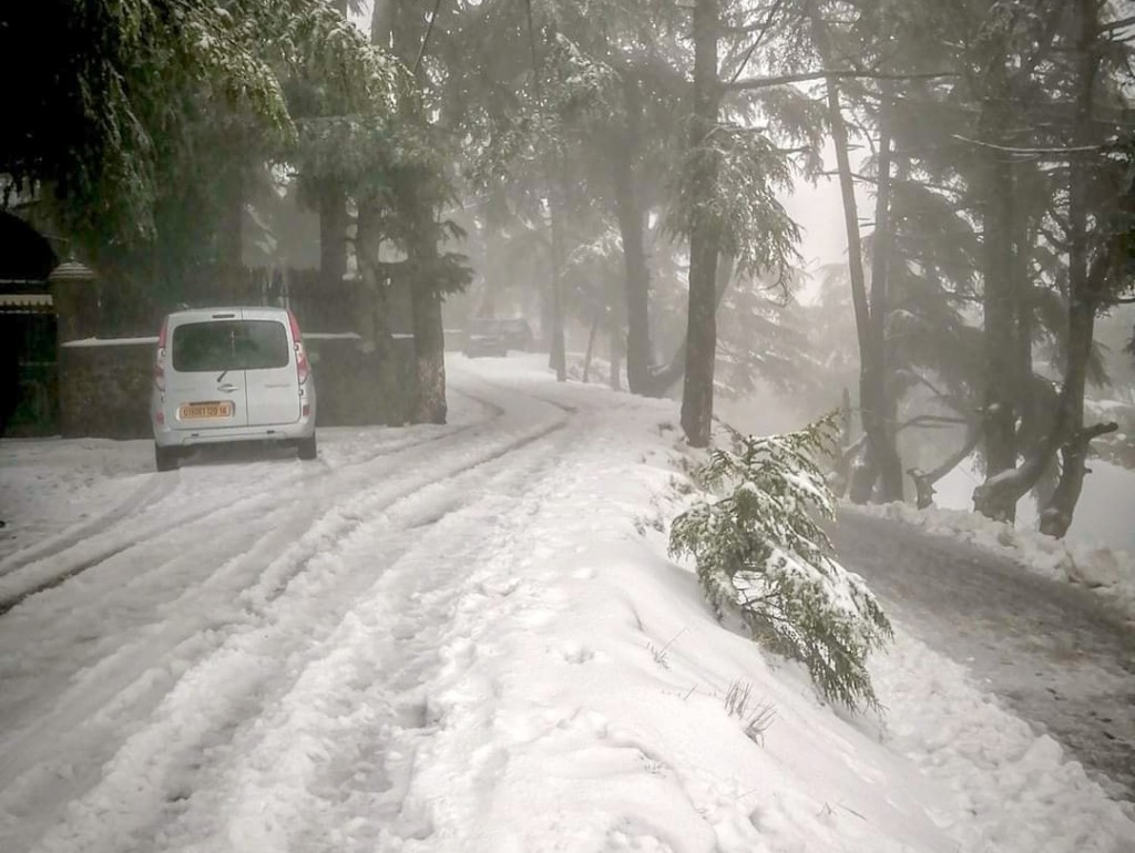 BLIDA : Ouverture de nouvelles voies d’accès vers les hauteurs de Chréa ...